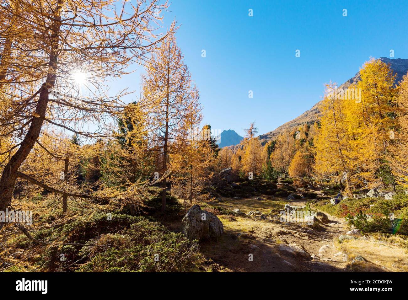 Val di campo hi-res stock photography and images - Alamy