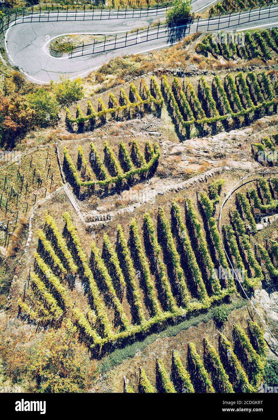Aerial ancient vineyards hi-res stock photography and images - Alamy