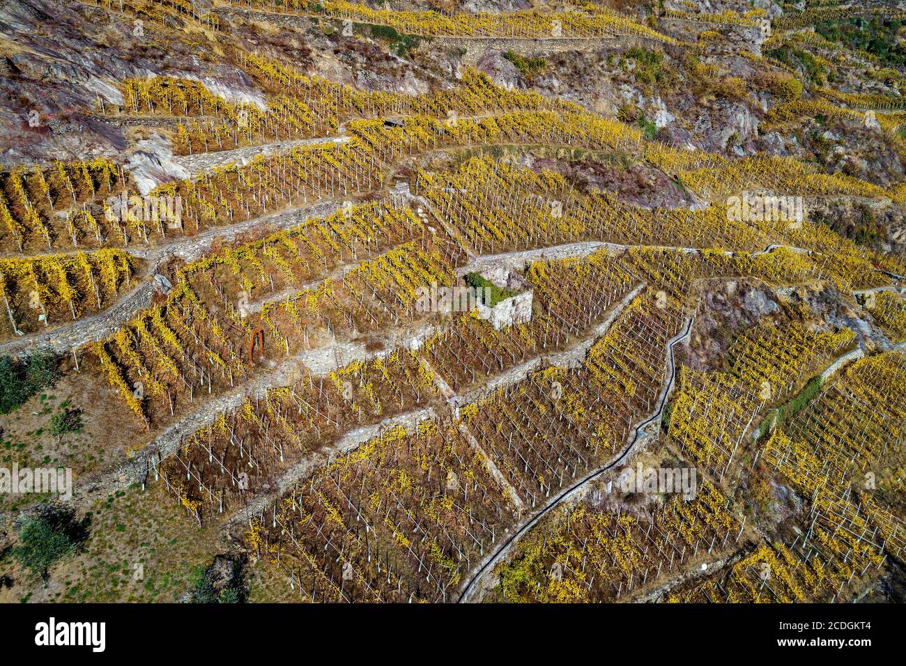 Aerial ancient vineyards hi-res stock photography and images - Alamy