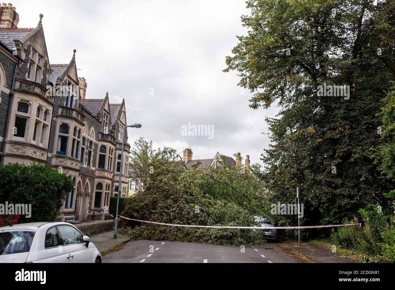 Pontcanna cardiff hi-res stock photography and images - Alamy