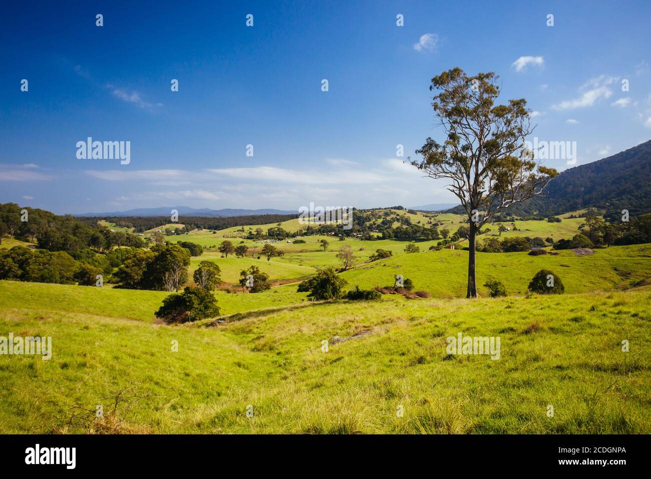Tilba Tilba Landscape in Australia Stock Photo - Alamy