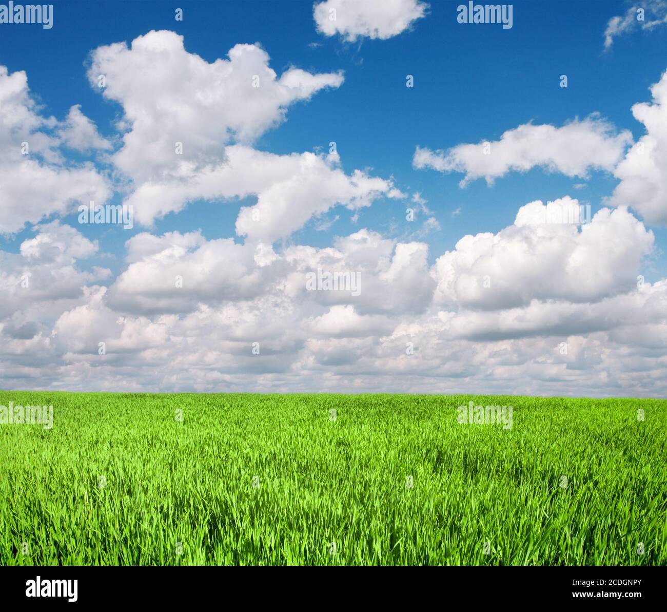 green field and blue cloudy sky Stock Photo - Alamy