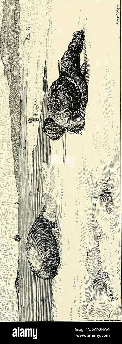 Lurched hi-res stock photography and images - Alamy