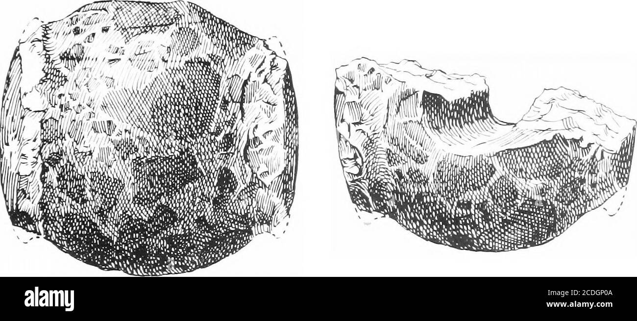 . The palace of Minos : a comparative account of the successive stages ...