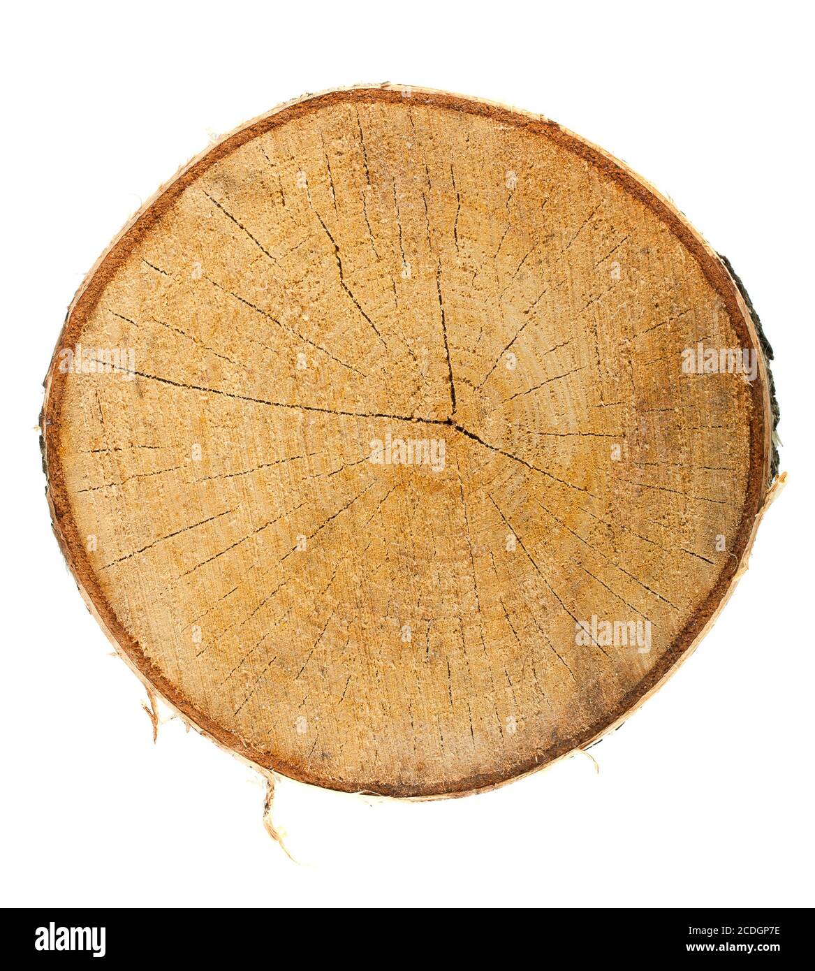 Top view of a tree stump Stock Photo - Alamy