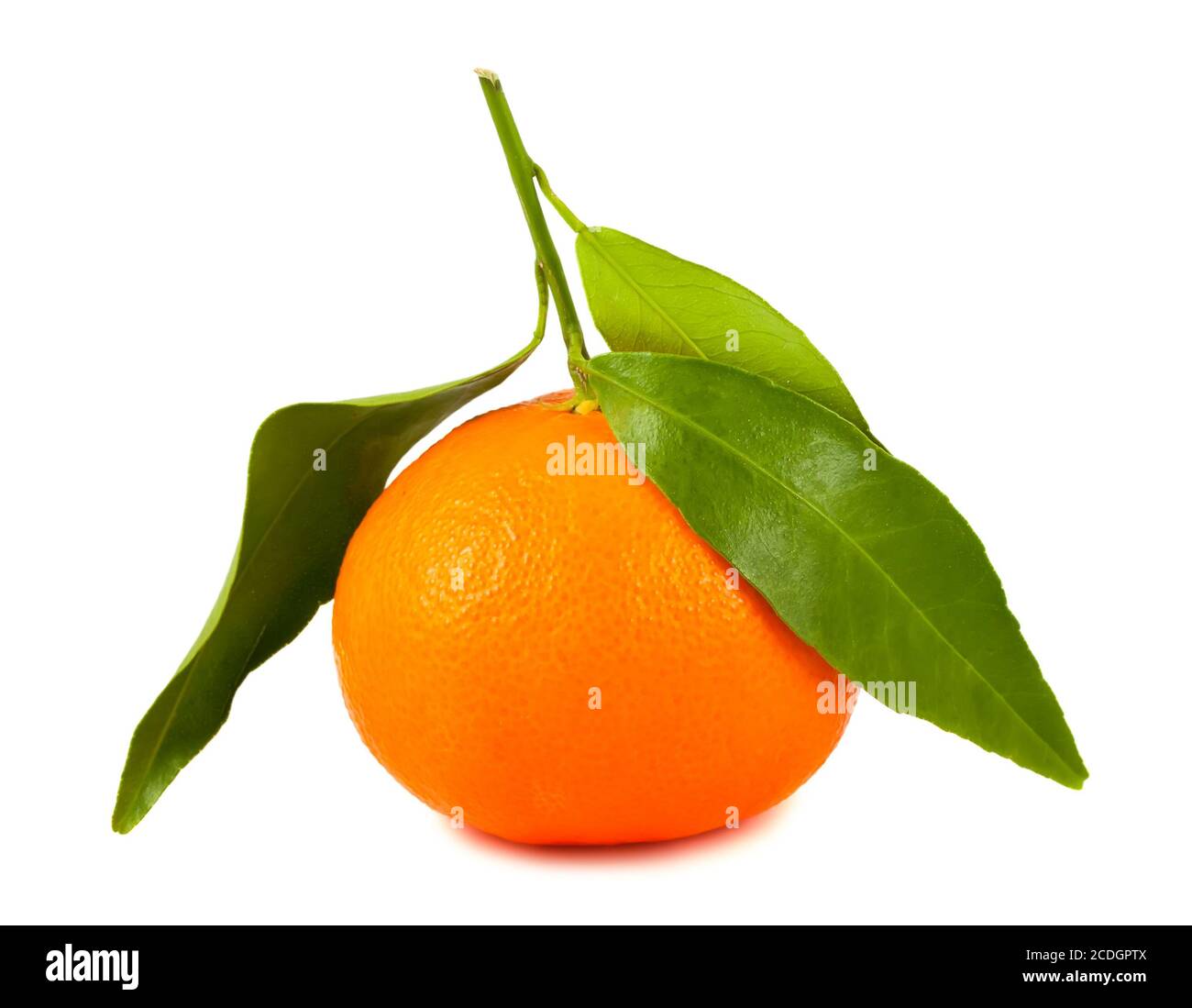 Tangerine with leaves hi-res stock photography and images - Alamy