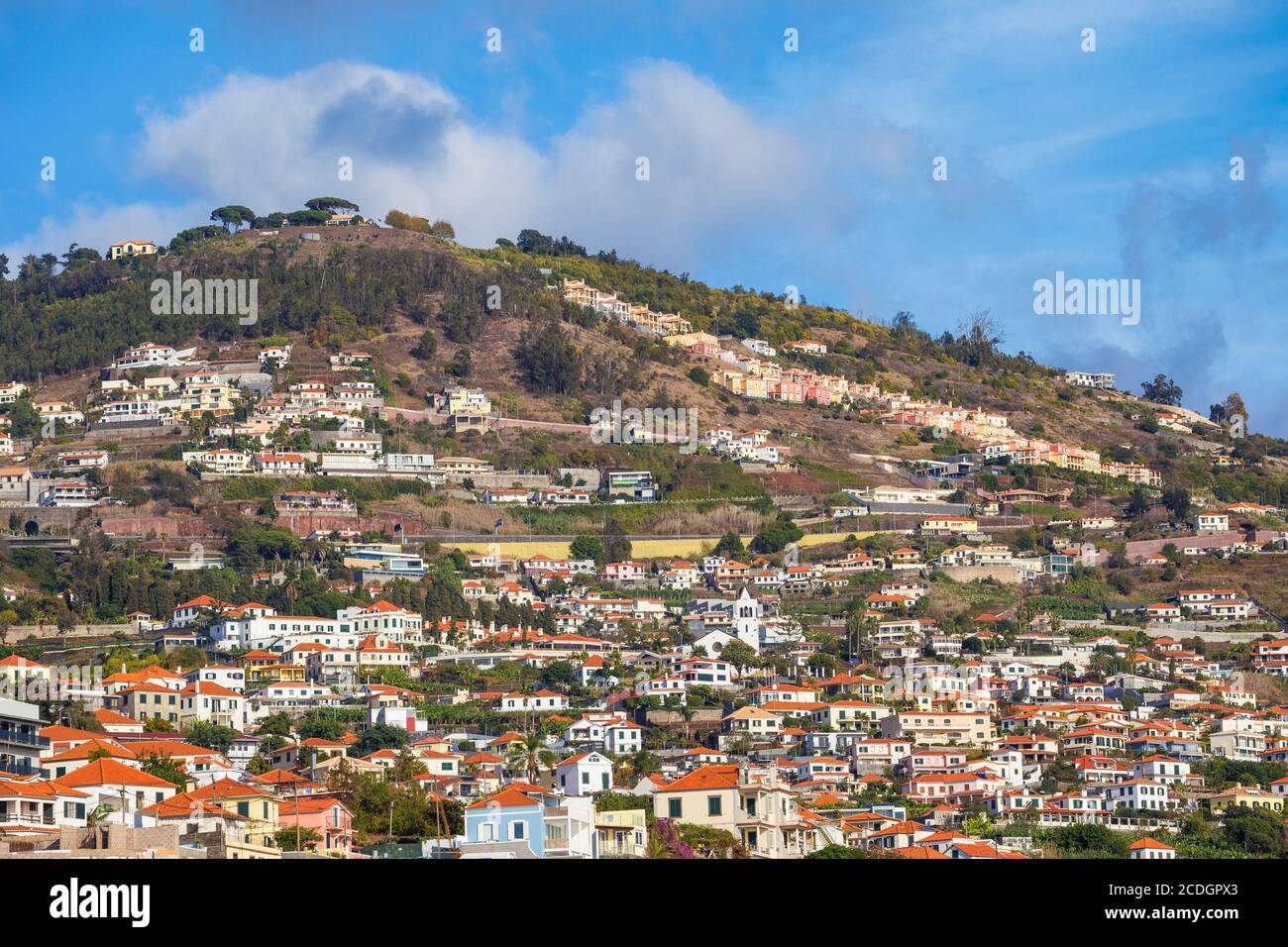 Funchal skyline hi-res stock photography and images - Alamy