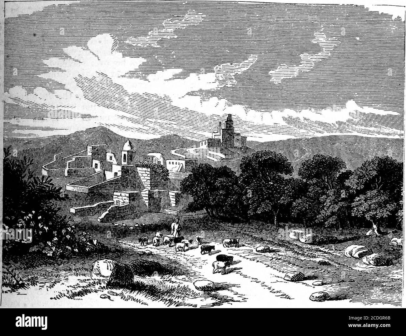 Verria hi-res stock photography and images - Alamy