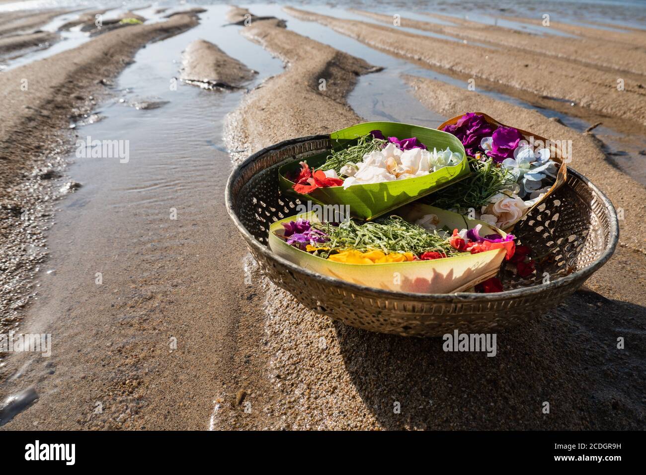 a canang sari filled with fresh flowers of various colors. It is a form ...
