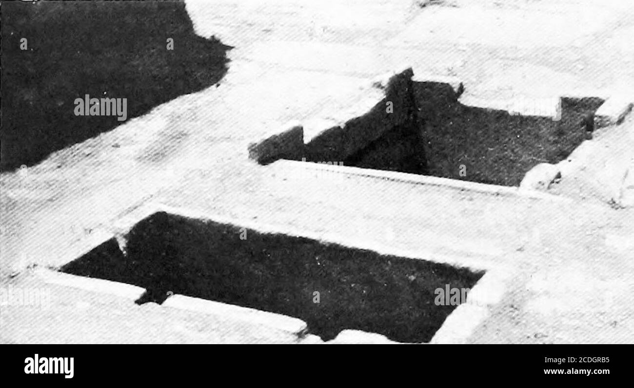 . The palace of Minos : a comparative account of the successive stages ...