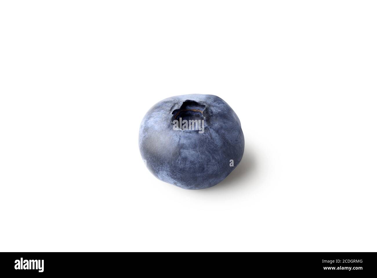 Ripe one blueberry isolated on white background. Clipping path Stock ...