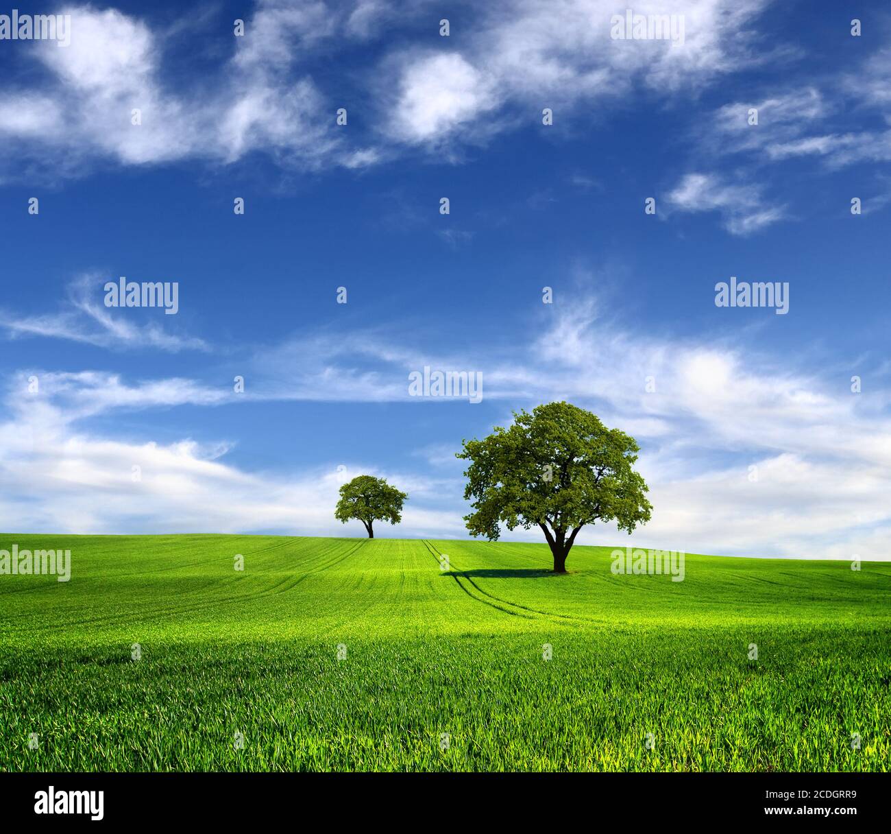 Wind of change Stock Photo - Alamy