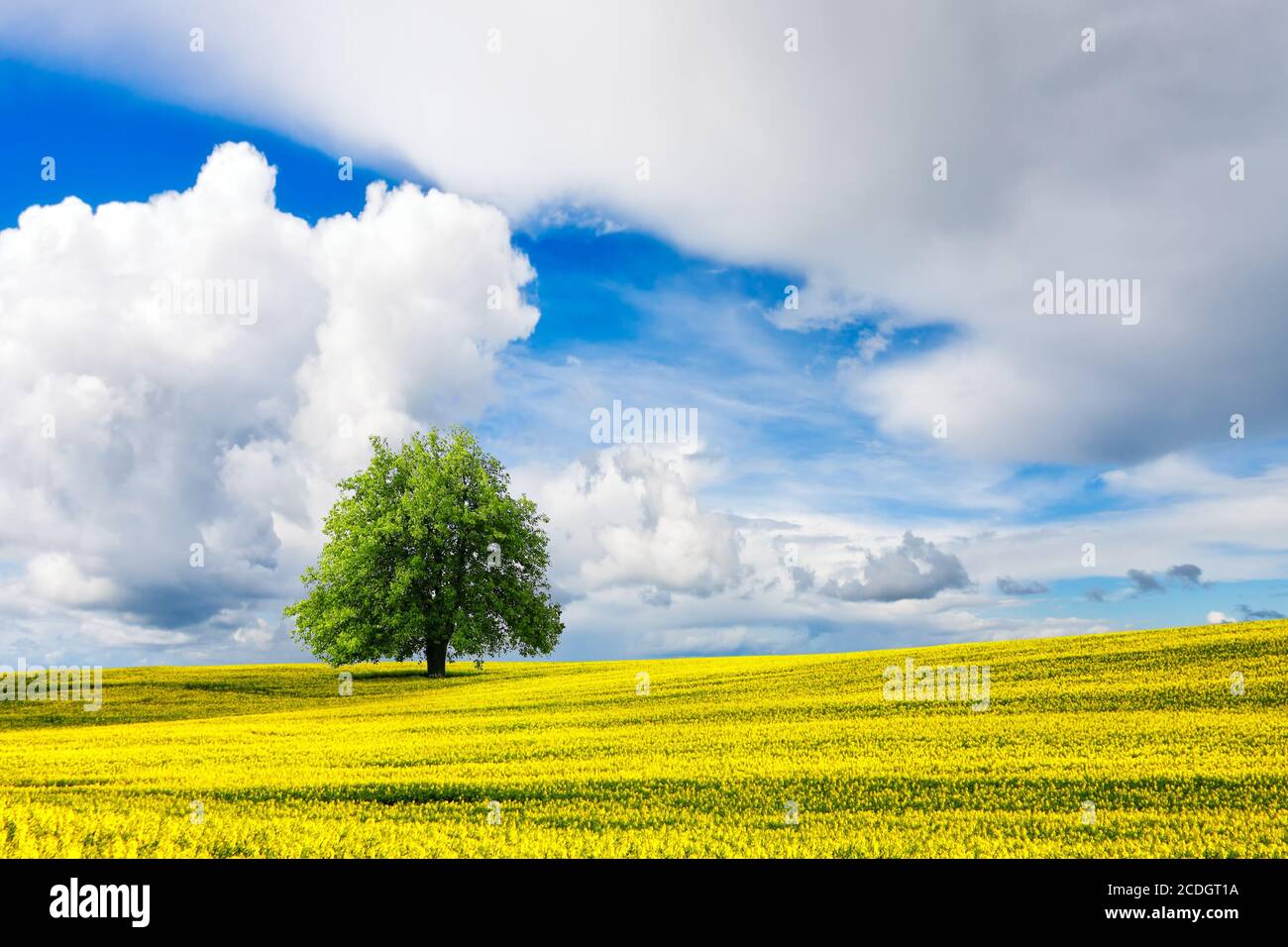 Beautiful nature landscape Stock Photo - Alamy