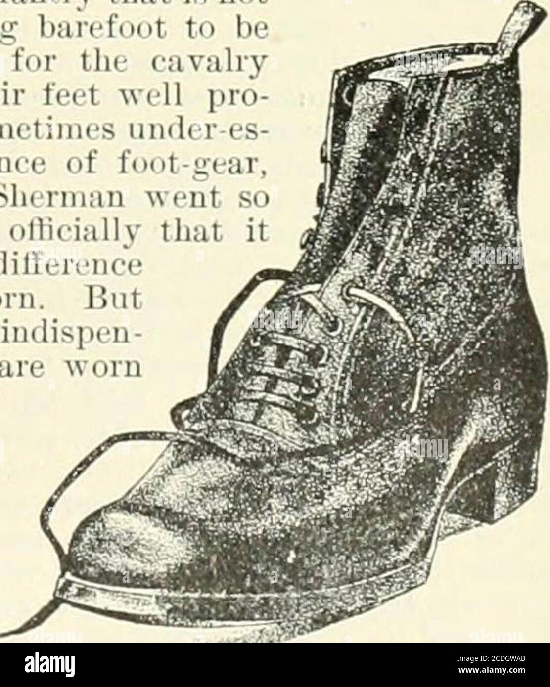 . A Reference handbook of the medical sciences embracing the entire ...