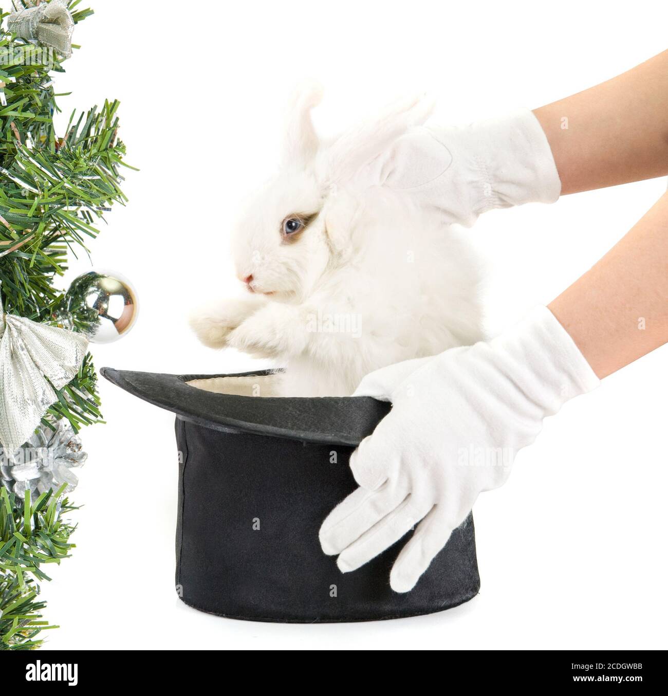 Magic cap hi-res stock photography and images - Alamy