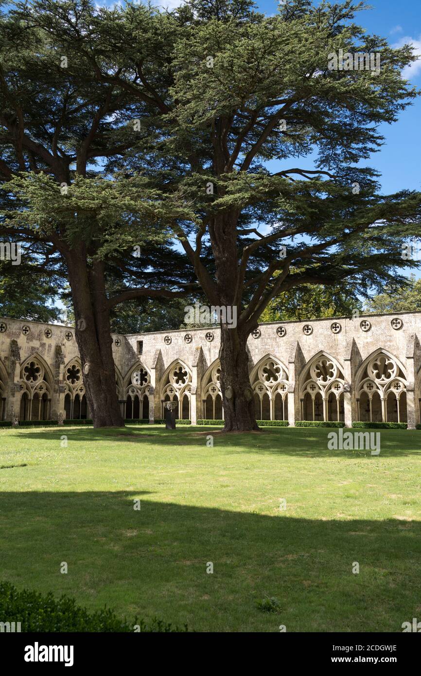 The early English gothic cloisters and largest arcaded cloisters in ...