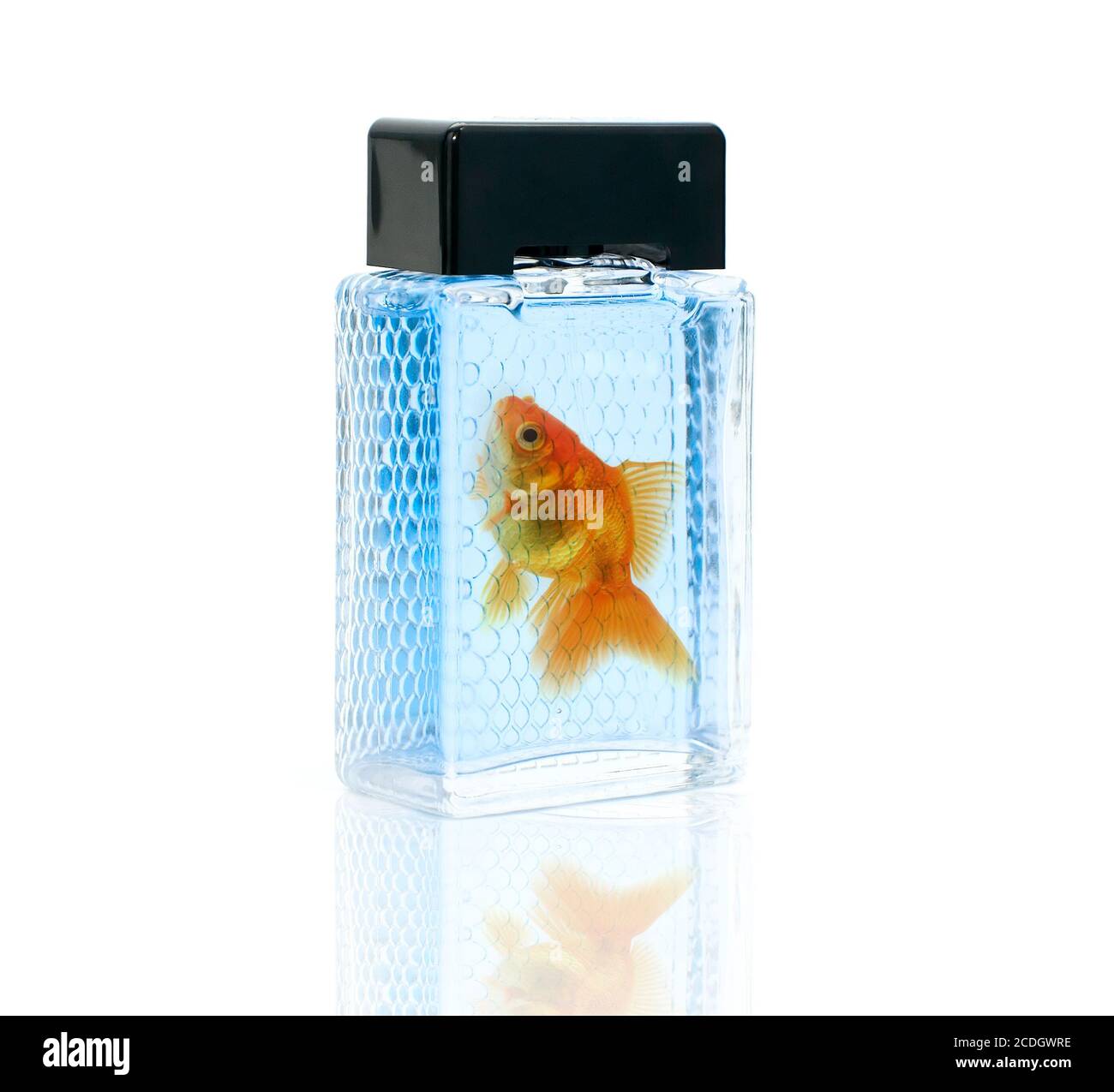 perfume bottle with gold fish Stock Photo - Alamy