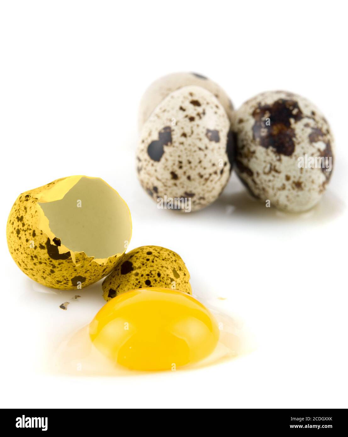 broken egg quail Stock Photo - Alamy