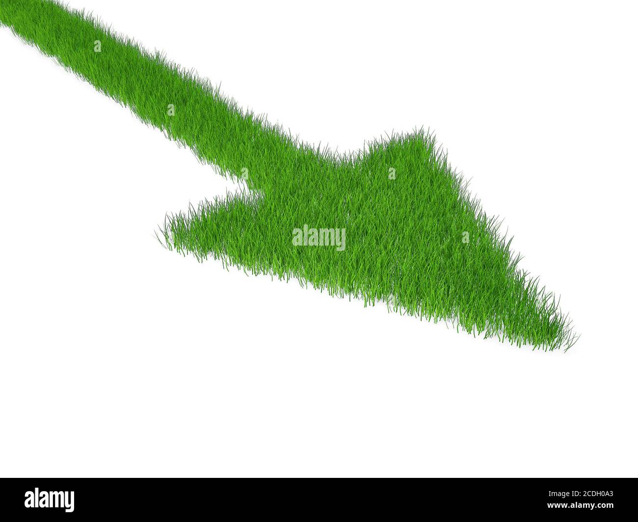 grass green pointer on a white background Stock Photo - Alamy