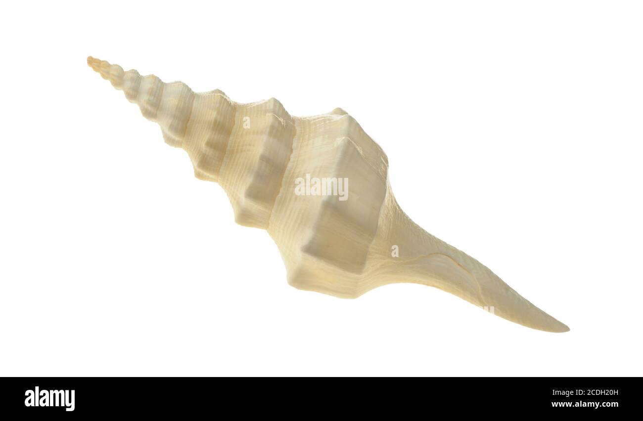 Curled sea hi-res stock photography and images - Alamy