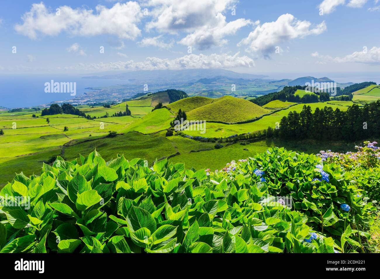 Beautiful landscape sceneries in Azores Portugal. Tropical nature in ...