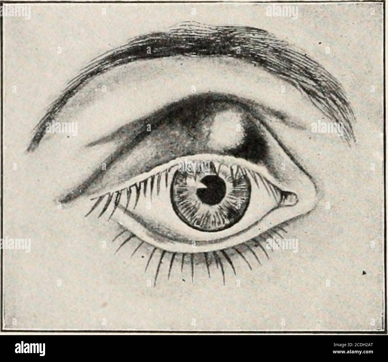 Skin cells multiply hi-res stock photography and images - Alamy