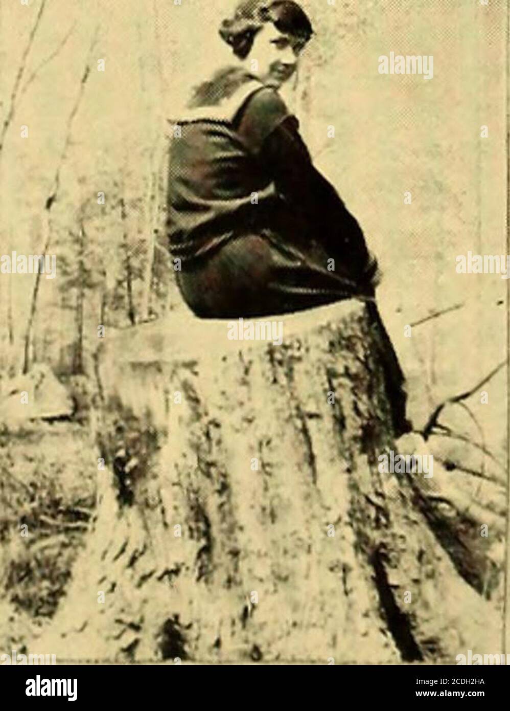 . The sibyl . * THE INITIAL PLUNGE Stock Photo - Alamy