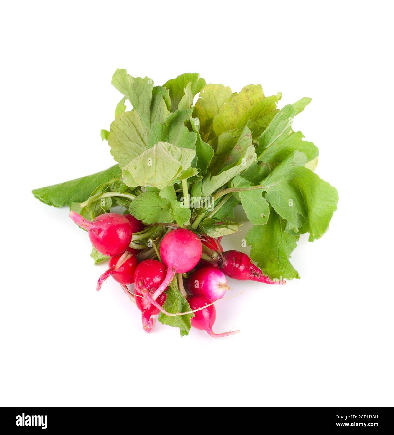 Fresh small red radishes Cut Out Stock Images & Pictures - Alamy