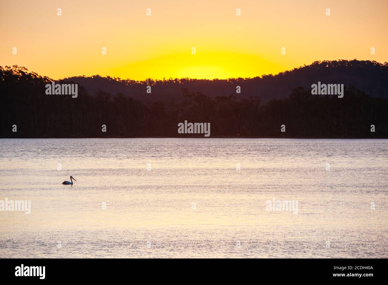 Wagonga inlet in narooma hi-res stock photography and images - Alamy