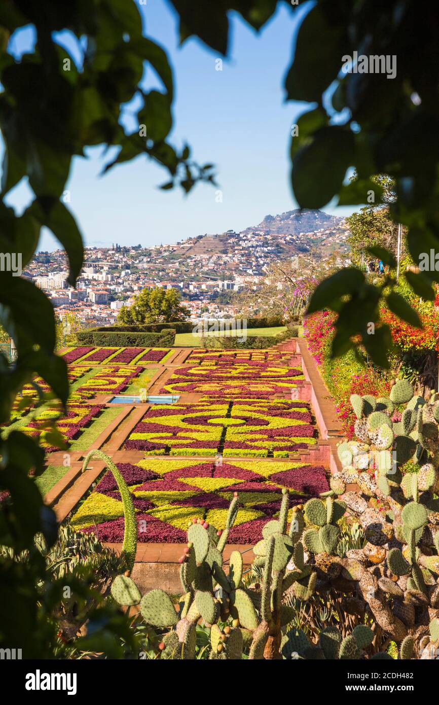 Portugal, Madeira, Funchal, Monte, Botanical Gardens Stock Photo - Alamy