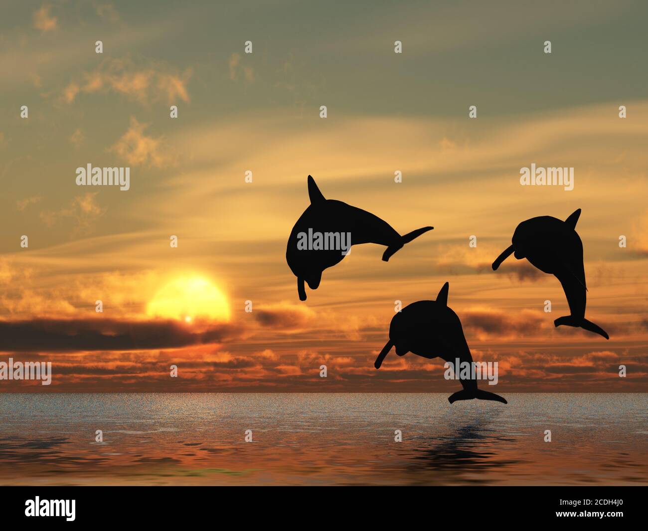 dolphin and sunset Stock Photo - Alamy