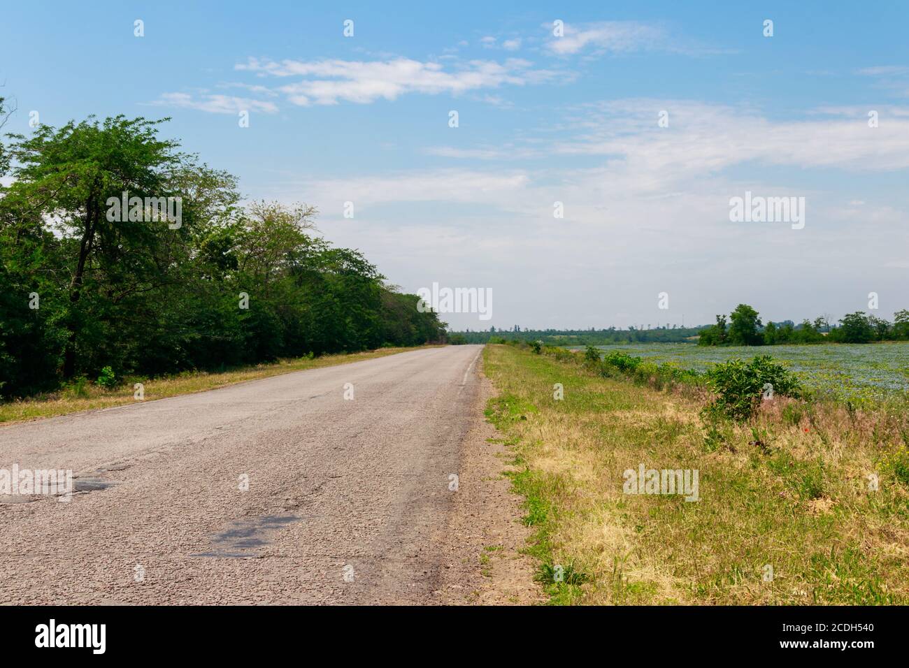 Summer landscape with country asphalt road and blue sky Stock Photo - Alamy