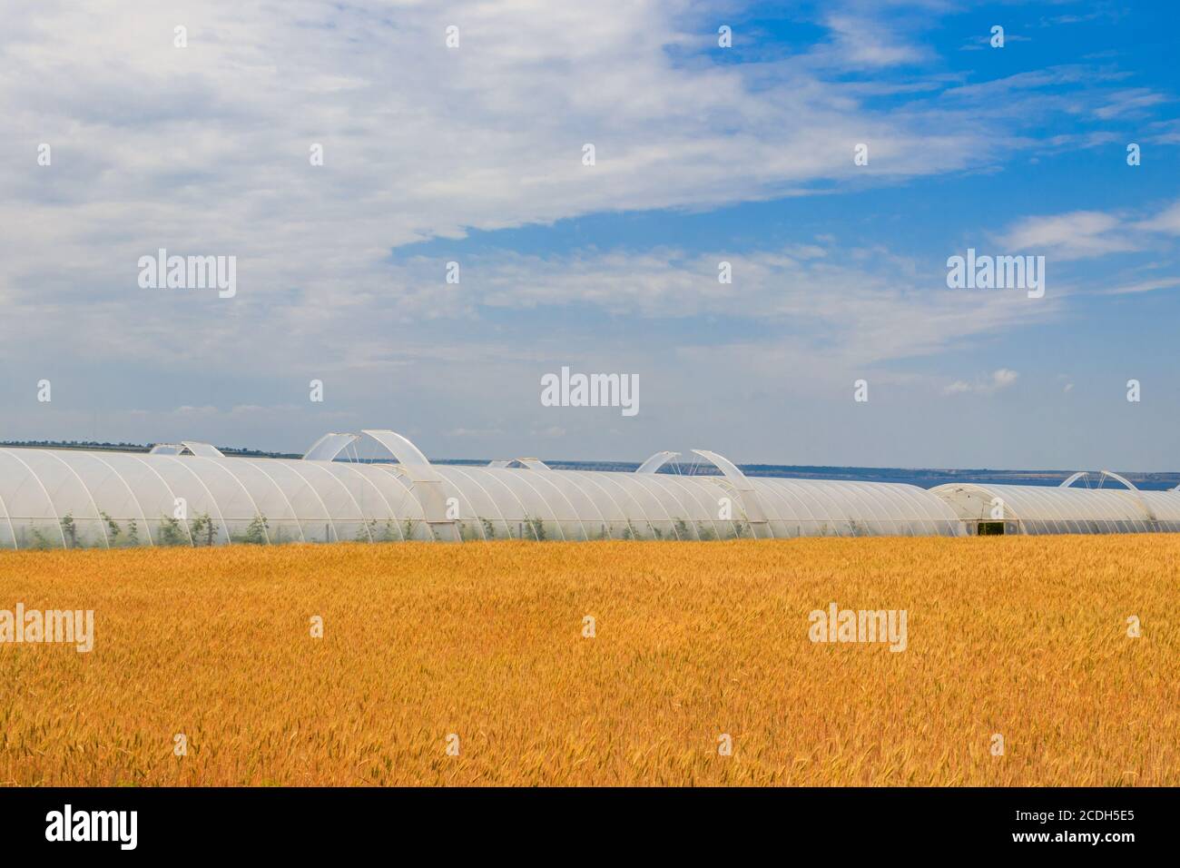 Polyethylene tunnel hi-res stock photography and images - Alamy