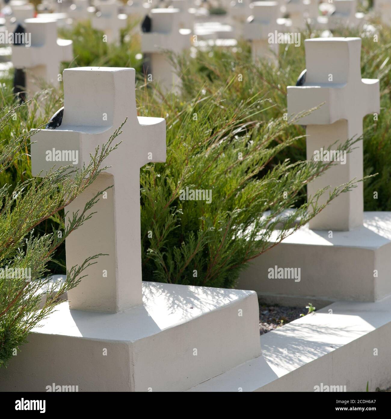 Lychakiv military cemetery hi-res stock photography and images - Alamy