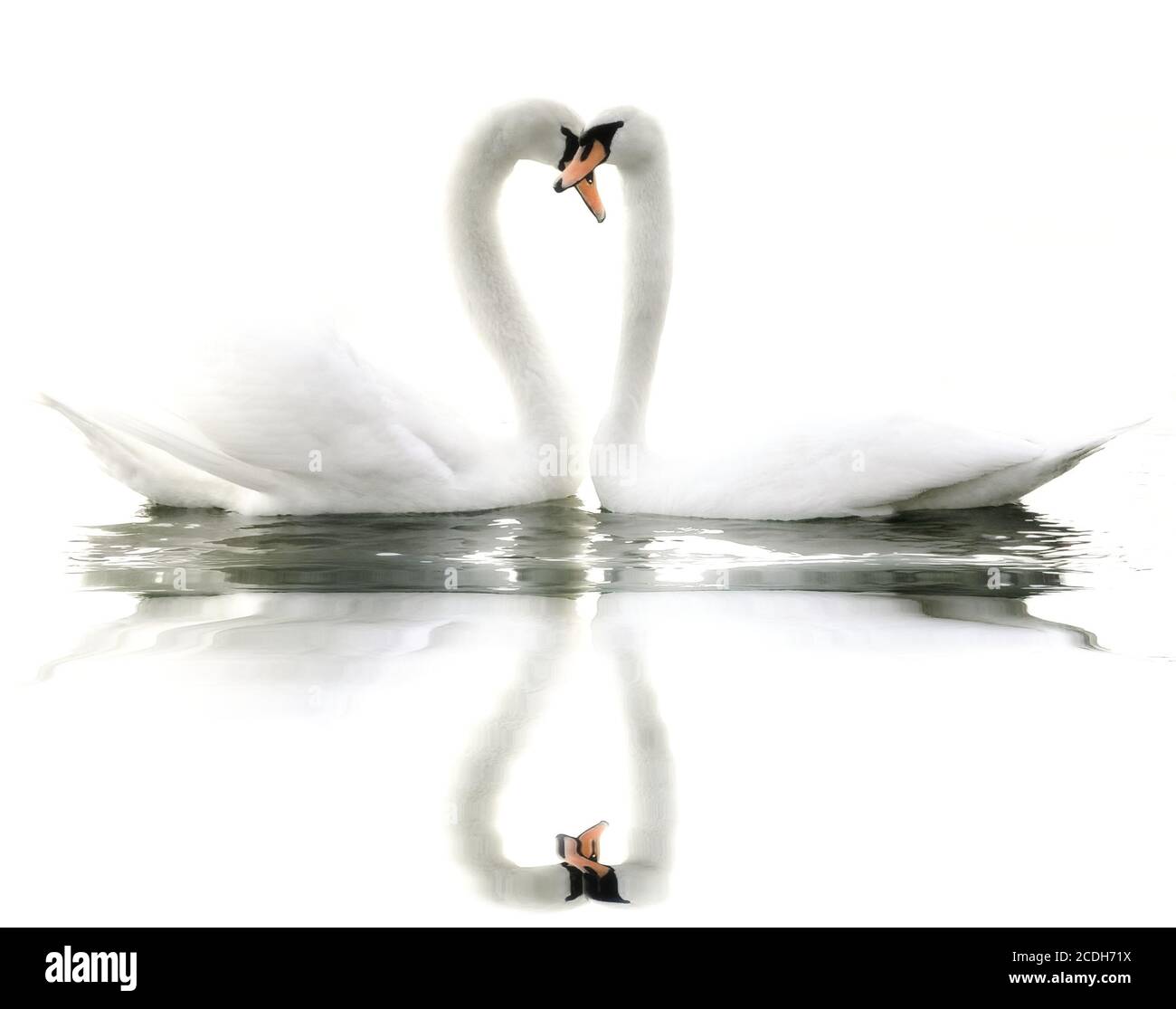 Serene mist Cut Out Stock Images & Pictures - Alamy