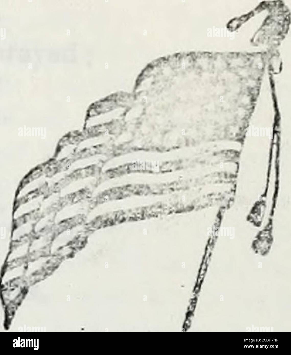 Spirit of 76 flag hi-res stock photography and images - Alamy