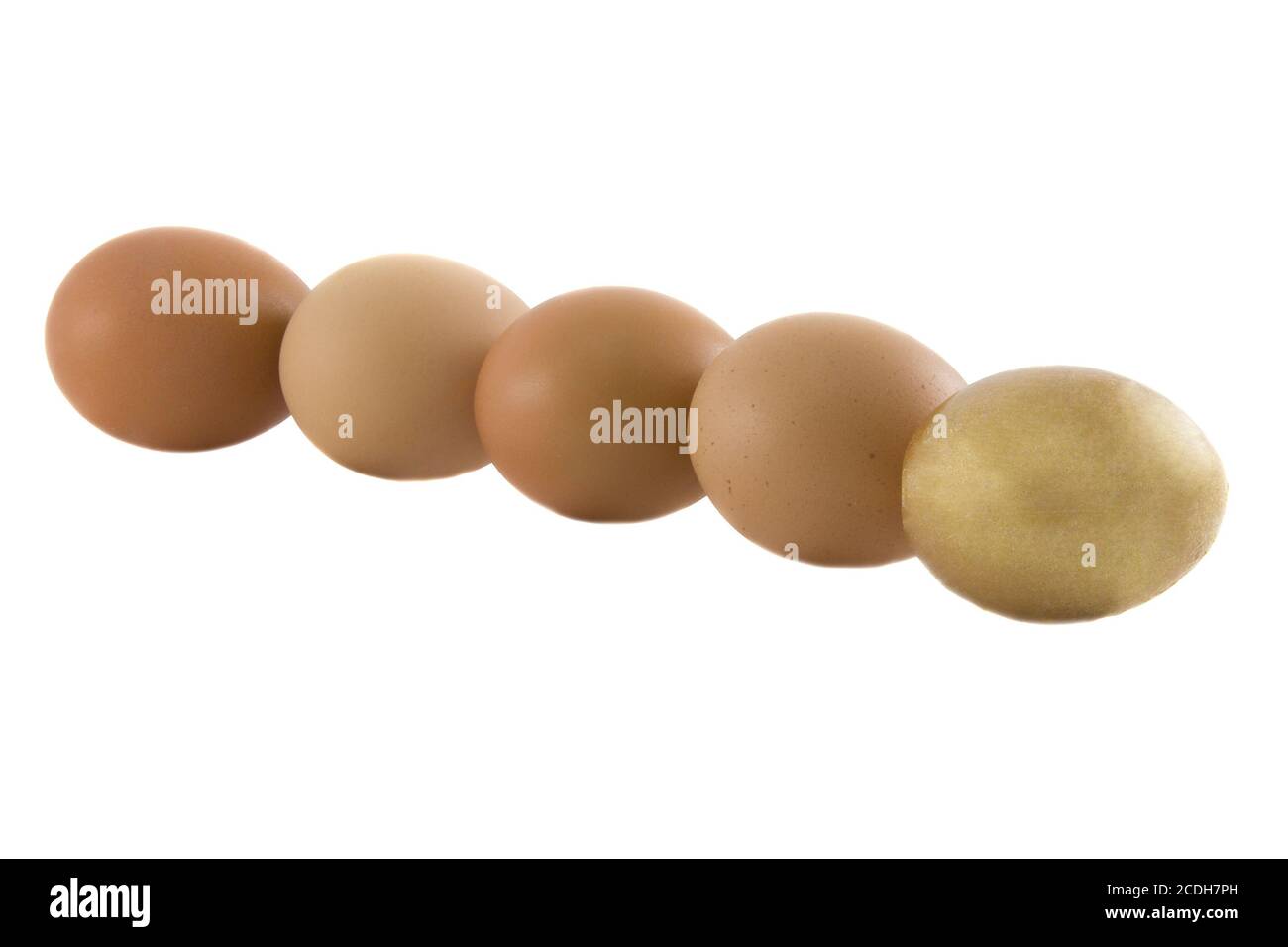 One golden and many ordinary fresh rural eggs isolated over white ...
