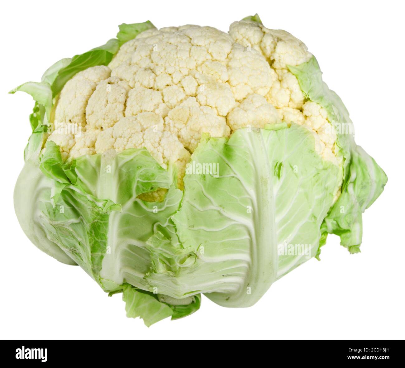 cauliflower isolated over white Stock Photo - Alamy