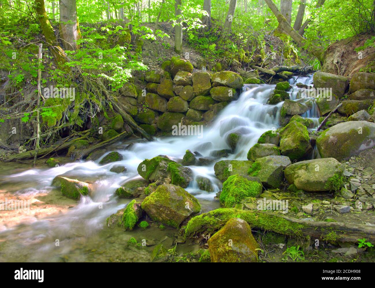 Waterfall in green forest trees hi-res stock photography and images - Alamy
