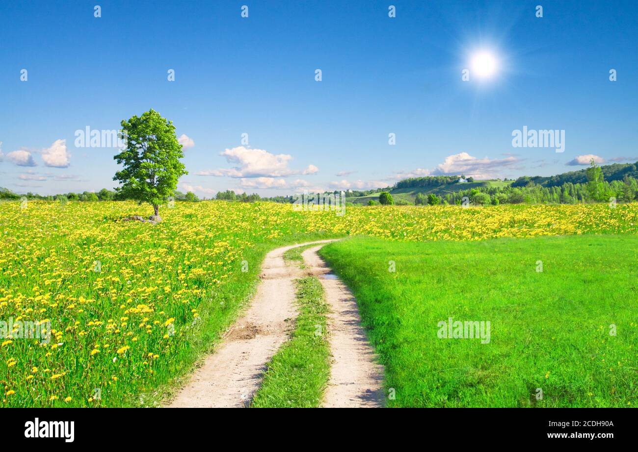 Beautiful summer landscape in hi-res stock photography and images - Alamy