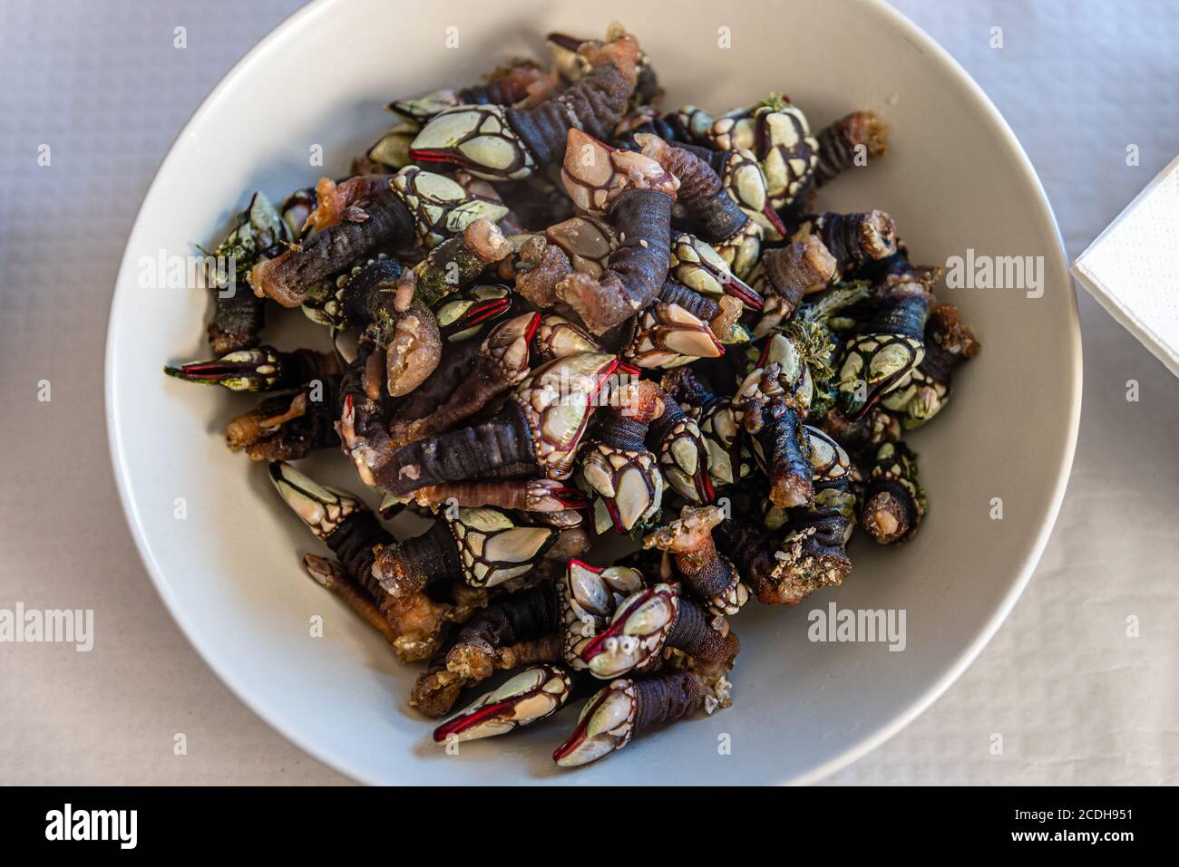 Goose banacle hi-res stock photography and images - Alamy