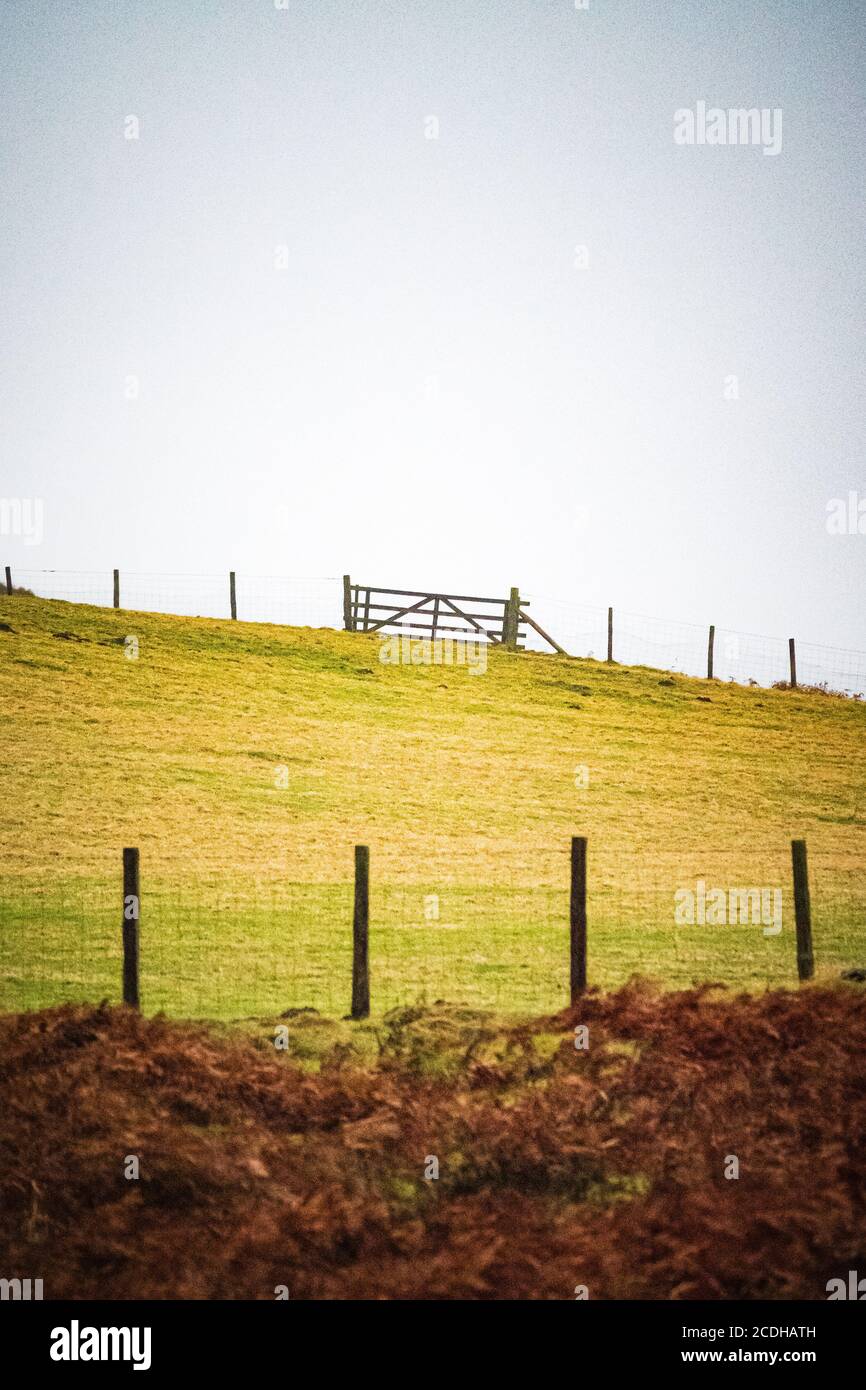 Empty field and grass hi-res stock photography and images - Alamy