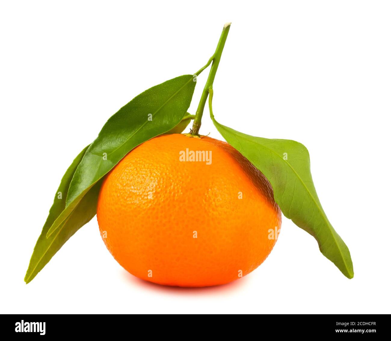 Light tangerine hi-res stock photography and images - Alamy