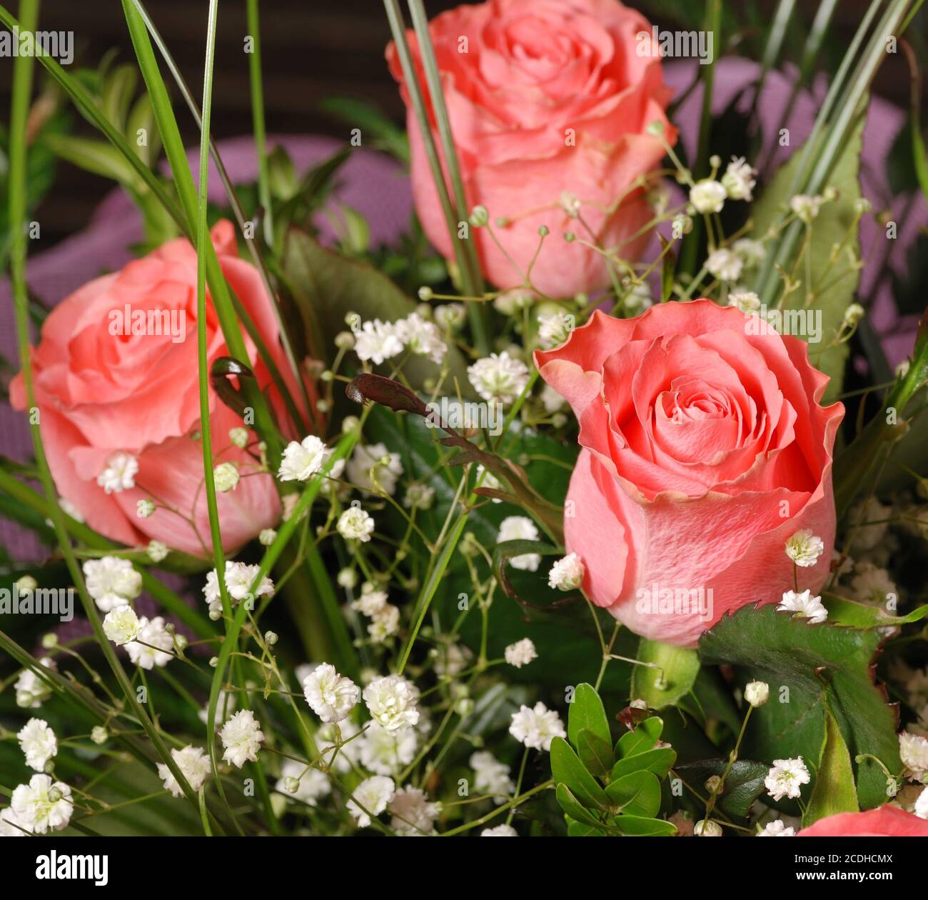 Rose three flower head leaf hi-res stock photography and images - Alamy