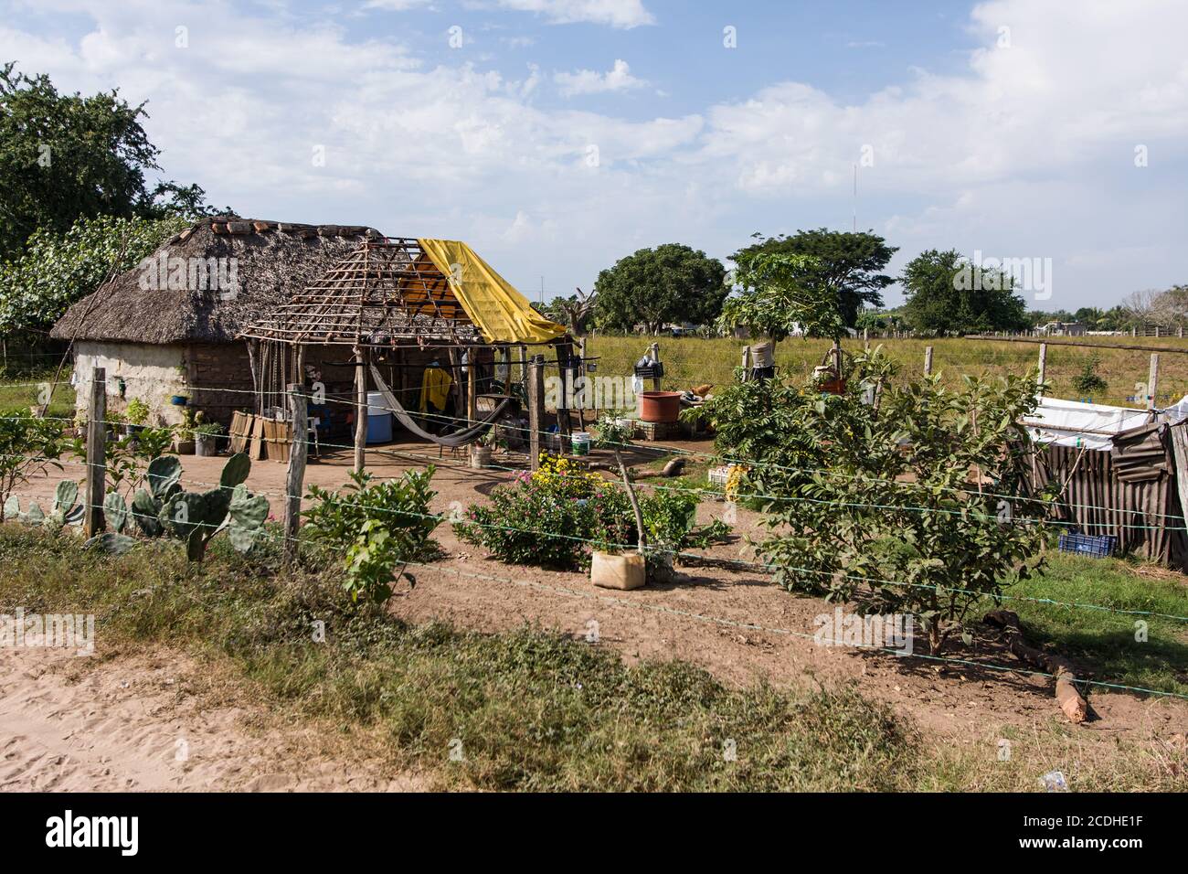 A traditional adobe thatched-roof farm house in rural Mexico near ...