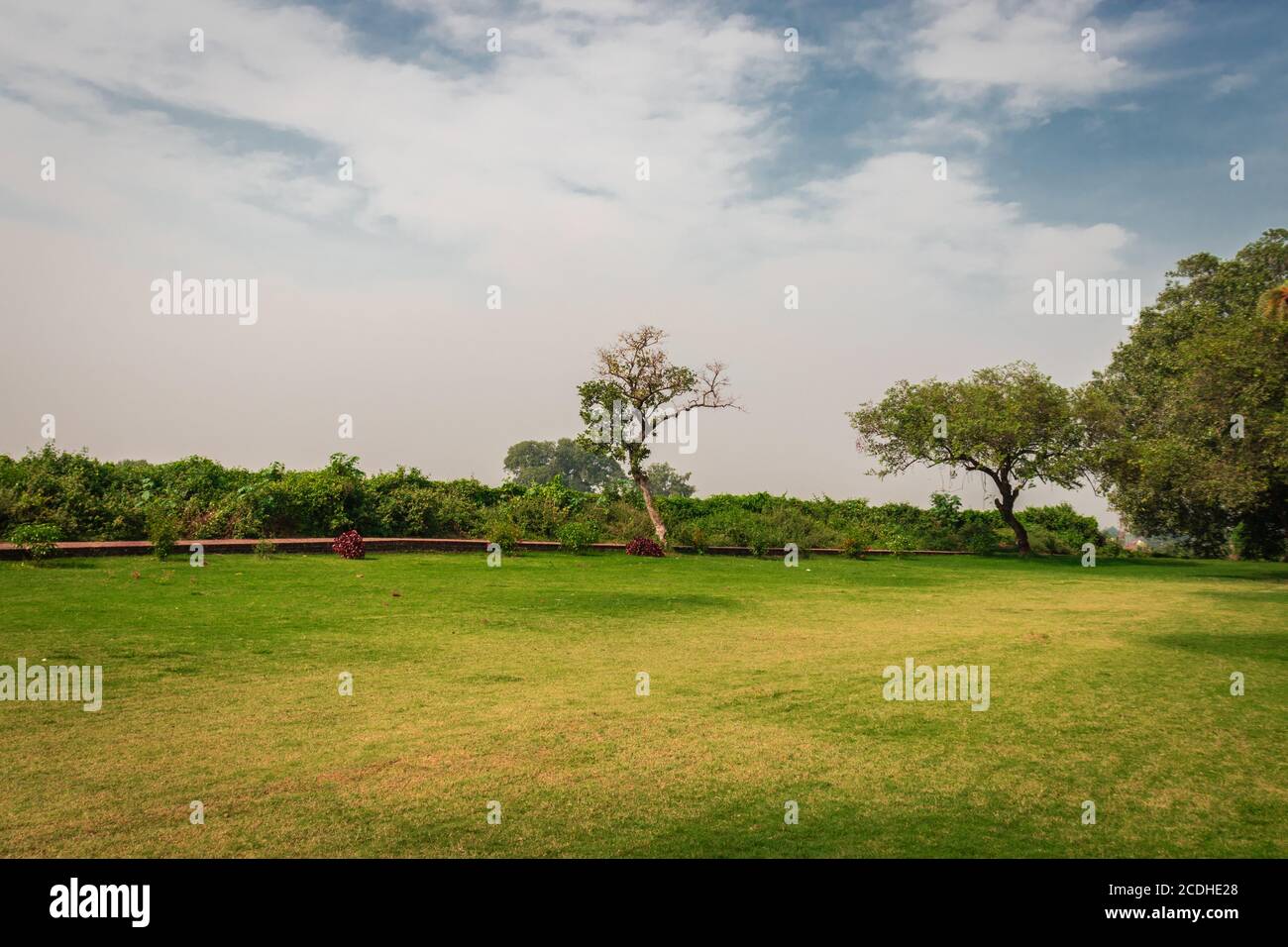 Ruins with tree backdrop hi-res stock photography and images - Alamy
