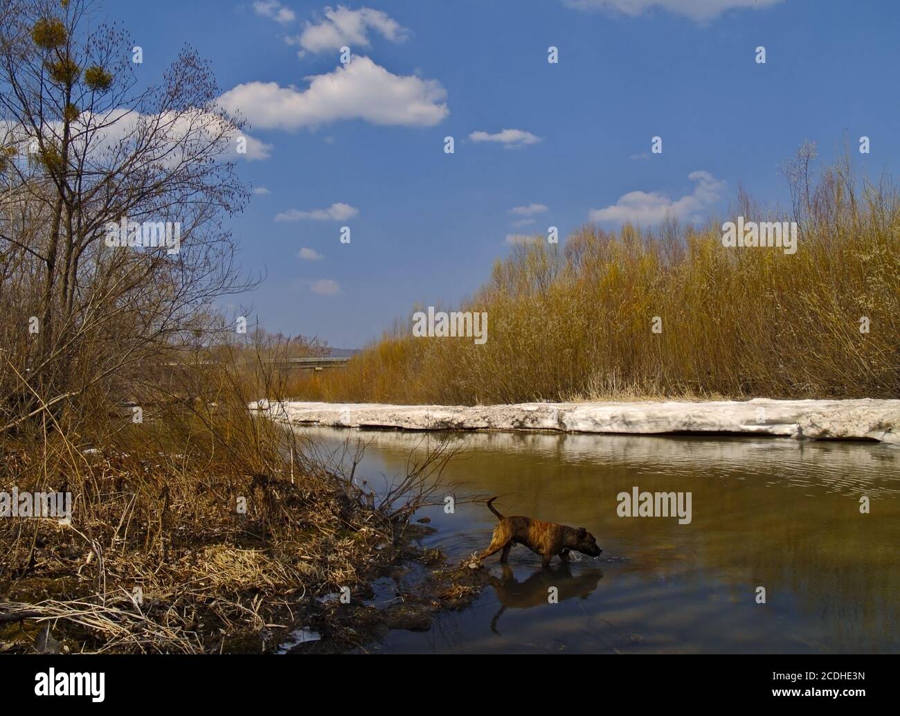 Solar spring hi-res stock photography and images - Alamy