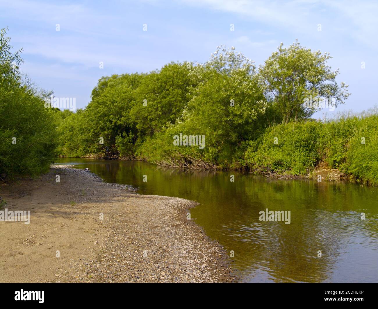 Bank of stream with hi-res stock photography and images - Alamy