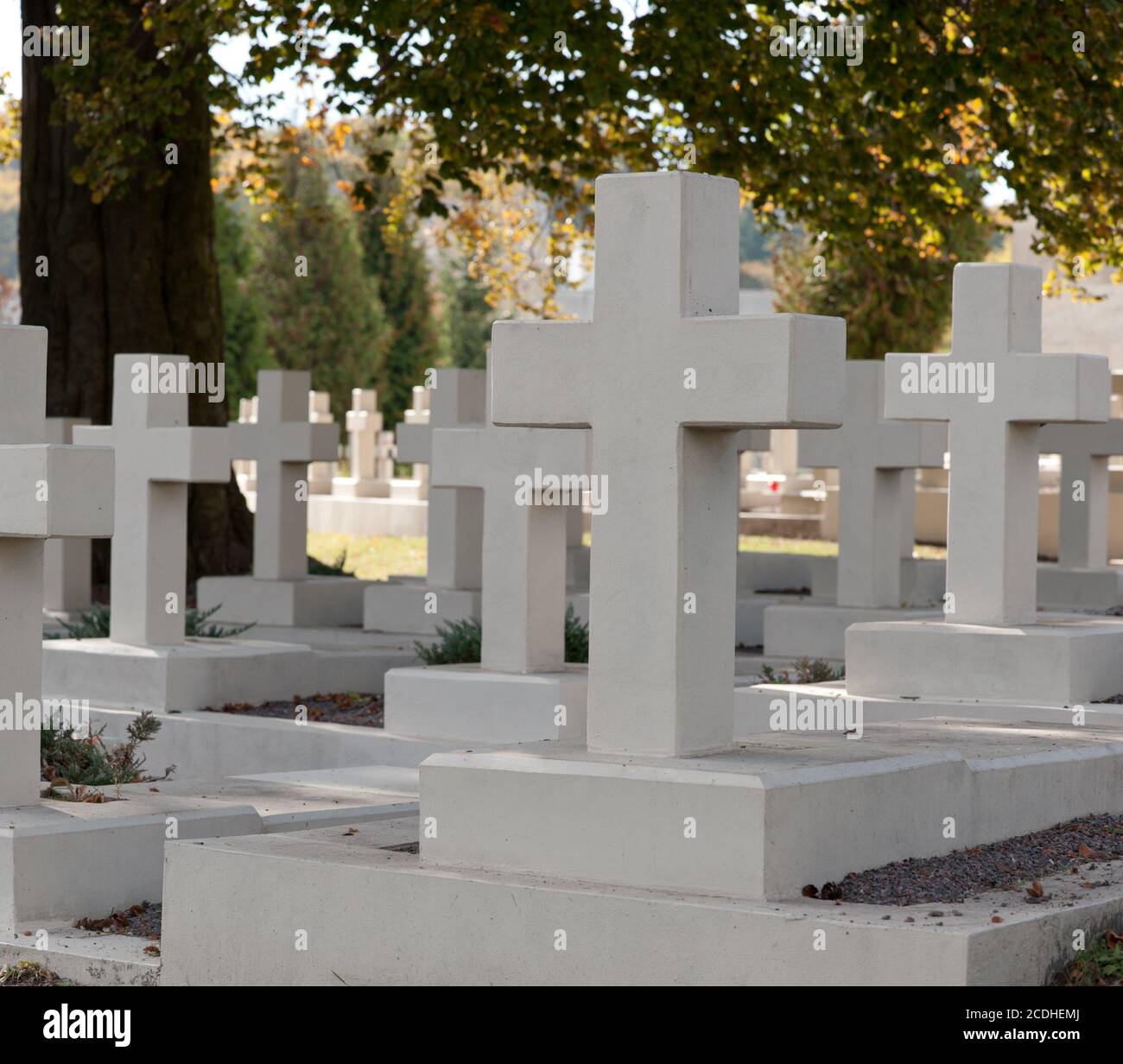 Military remembrance image hi-res stock photography and images - Alamy