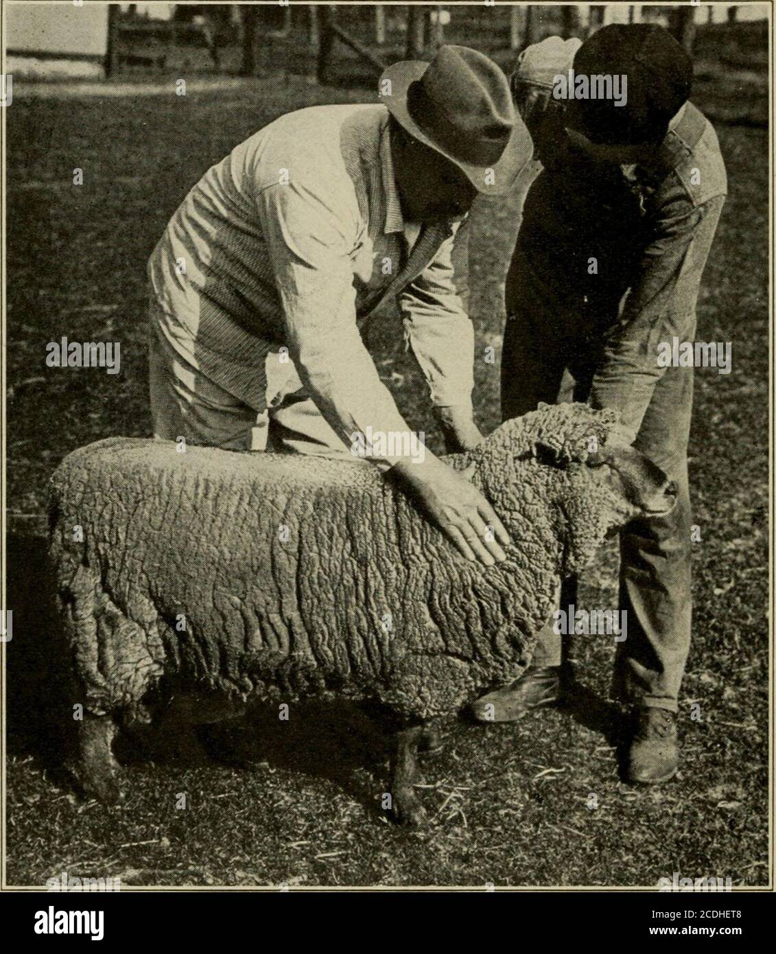 Full thickness skin or tissue loss hi-res stock photography and images ...